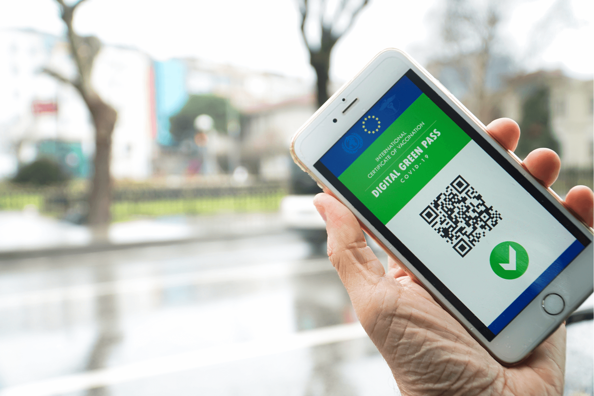 Green Pass: tutto quello che c'è da sapere - Confcommercio Como